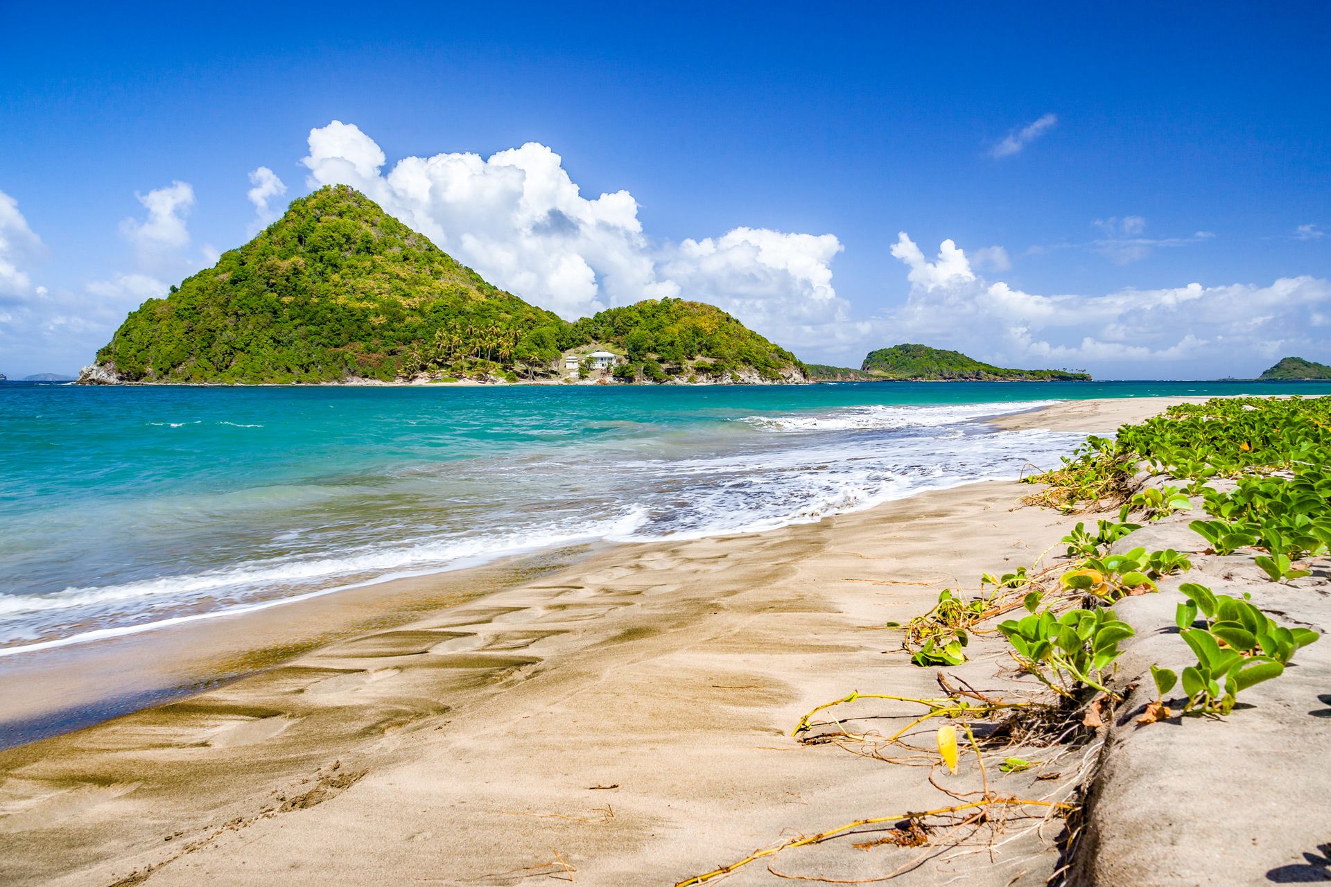 Top 55 Things To Do In Grenada For An Unforgettable Vacation ResortHatch