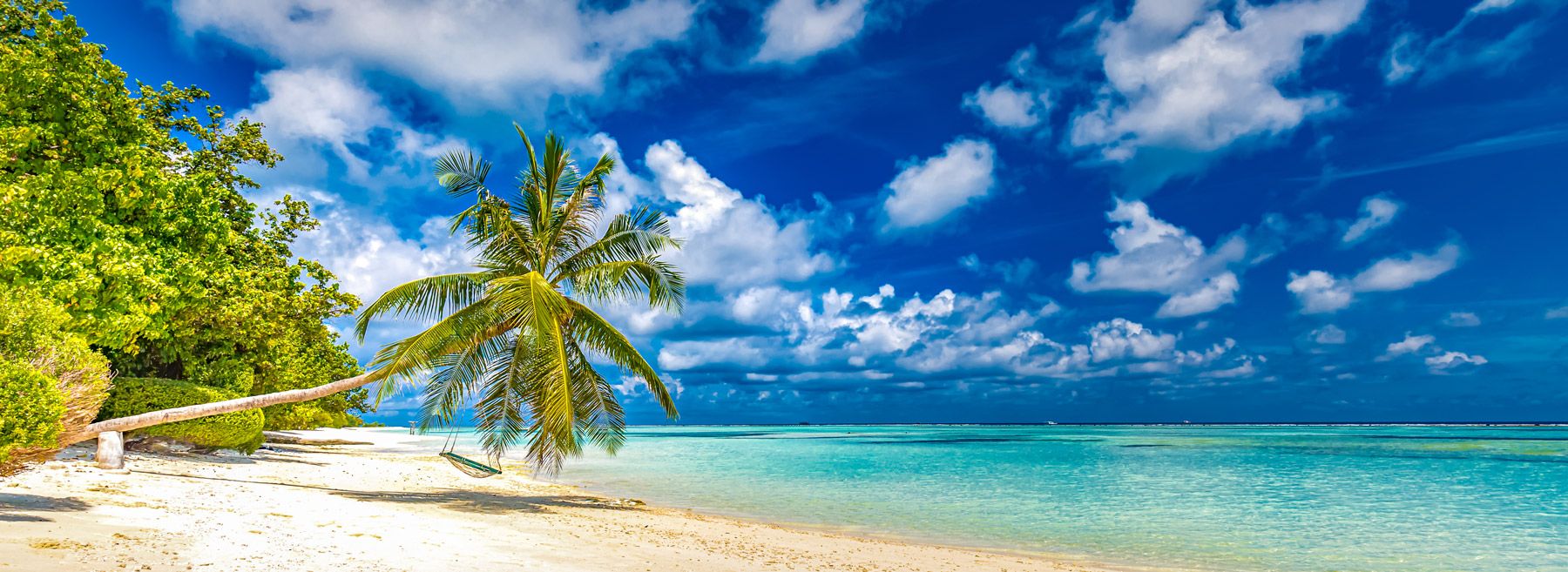 Best Time To Visit Barbados Seasonality, Weather & Events | Sandals