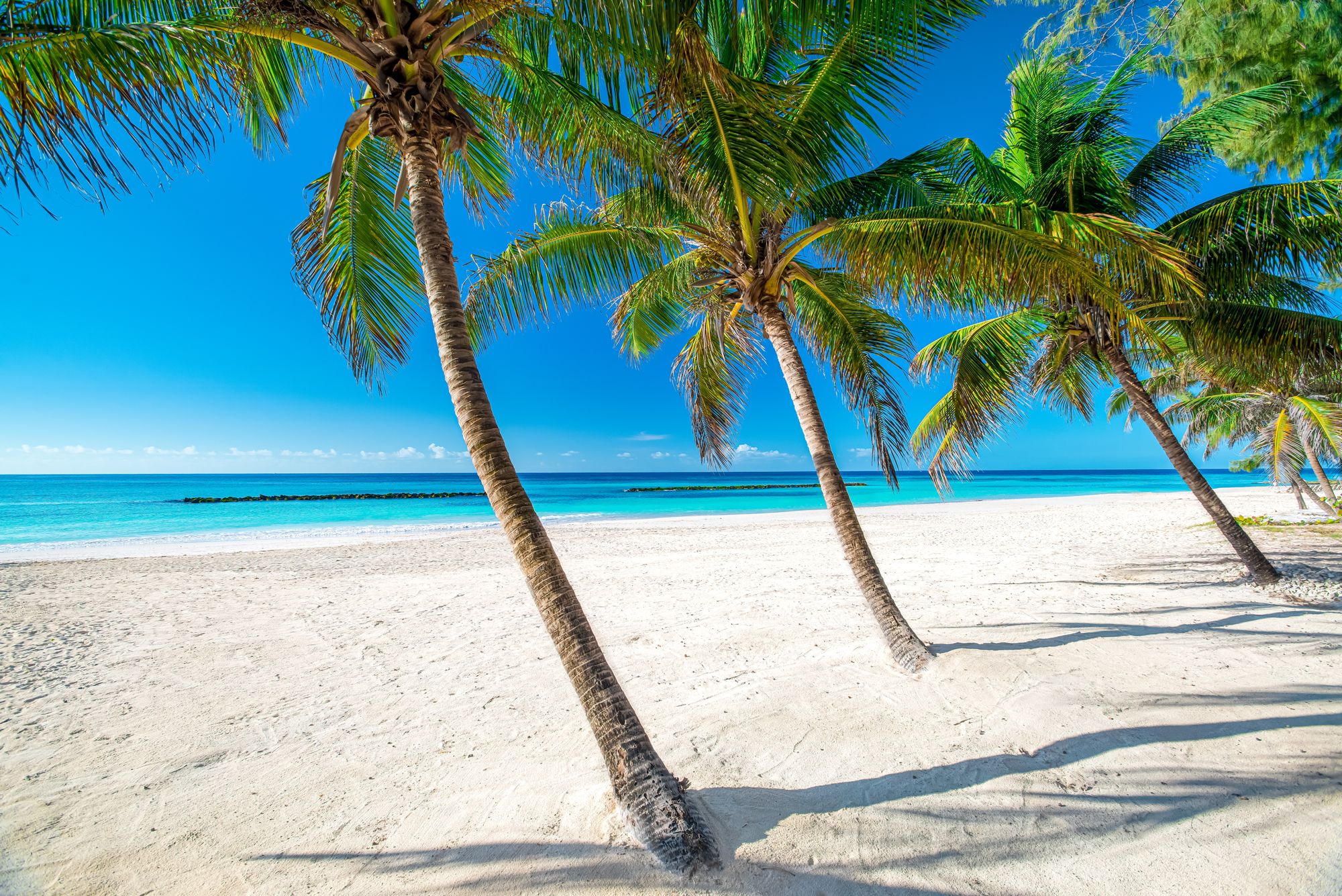 15 Incredible Things Barbados Is Known For | SANDALS