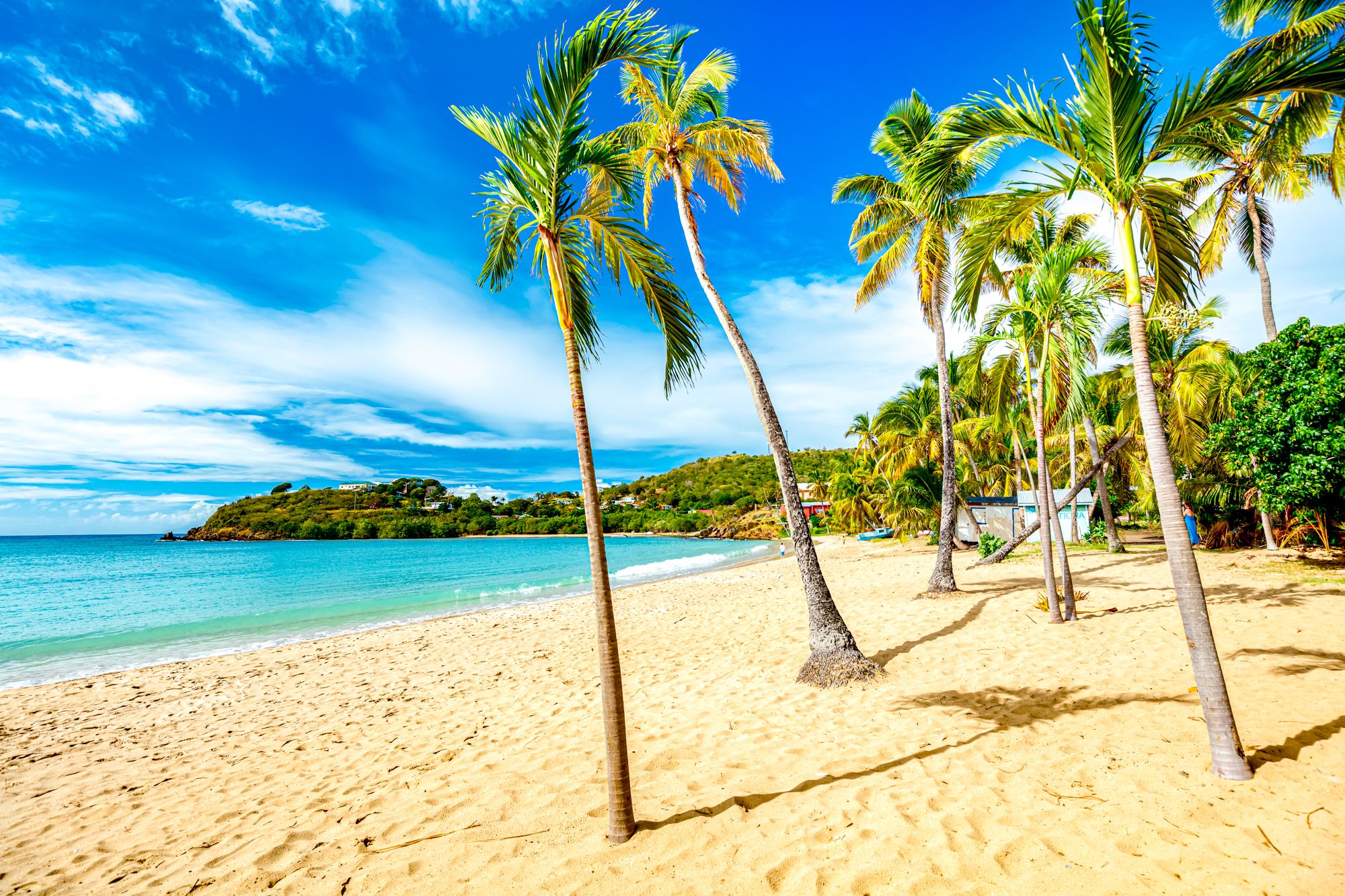 Best Places To Snorkel Caribbean - Lomelono