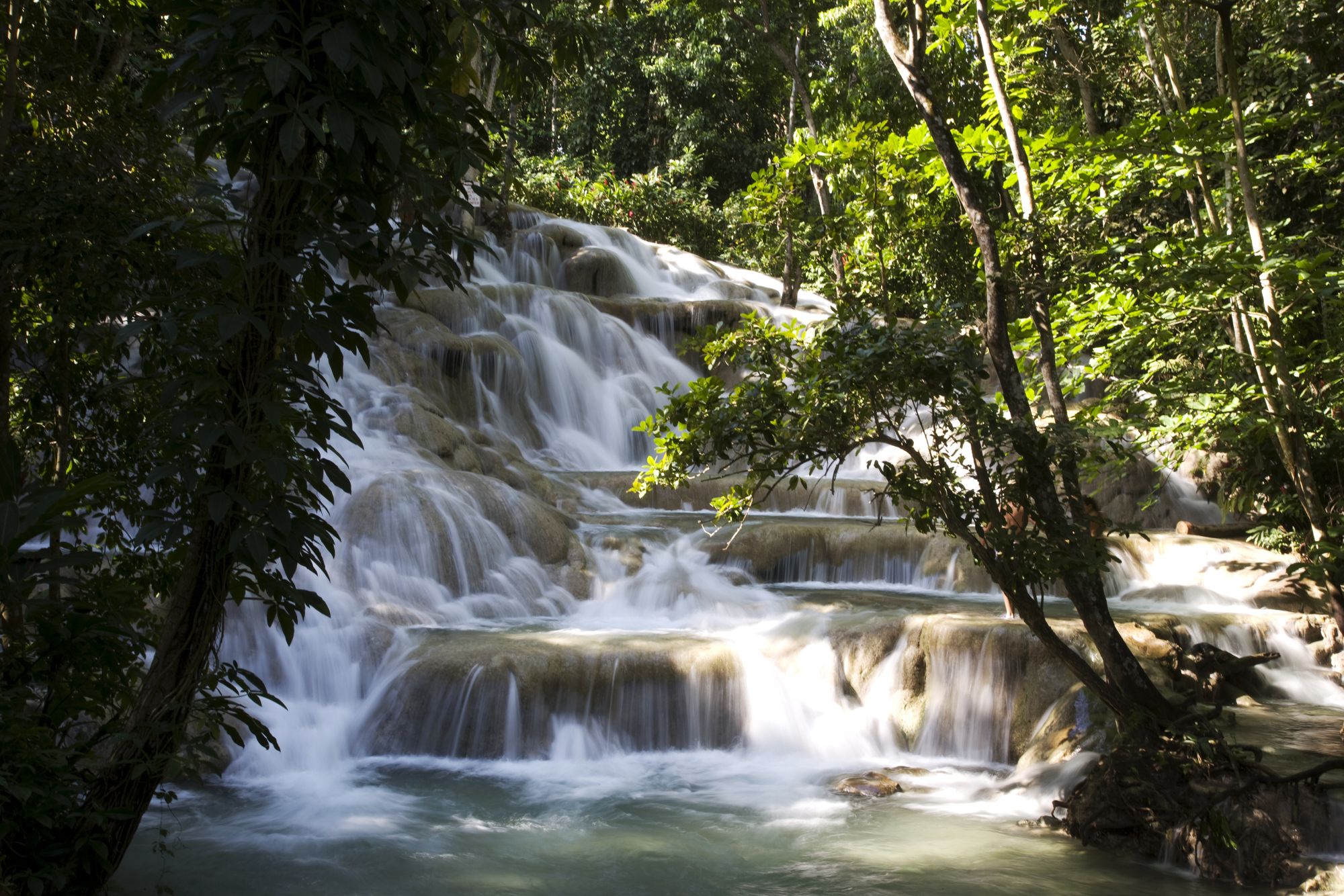 Dunn's River Falls, Jamaica: The Complete Guide | Sandals
